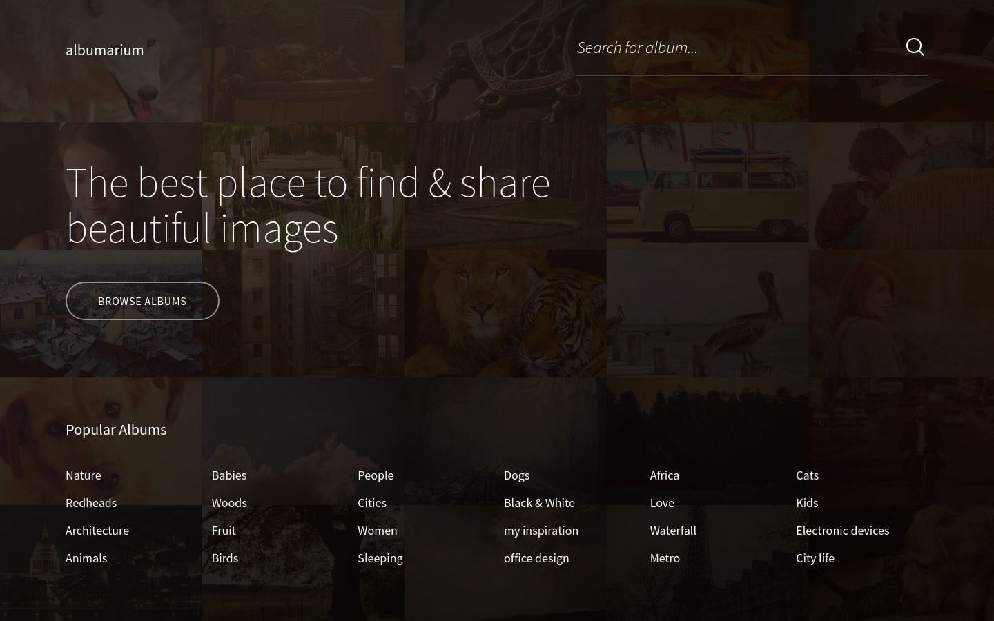 Albumarium - Aslam.ai